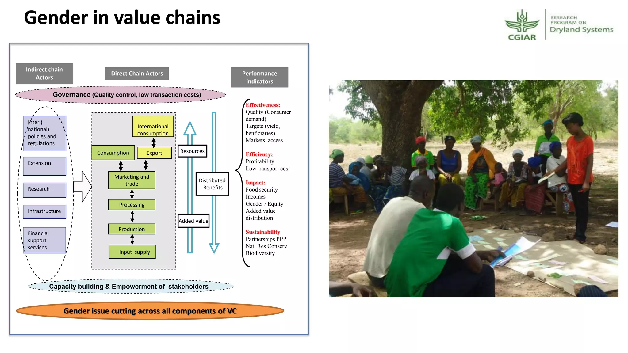 Drylands Systems CRP Gender Implementation Workshop West African Sahel & Dryland Savanna ...