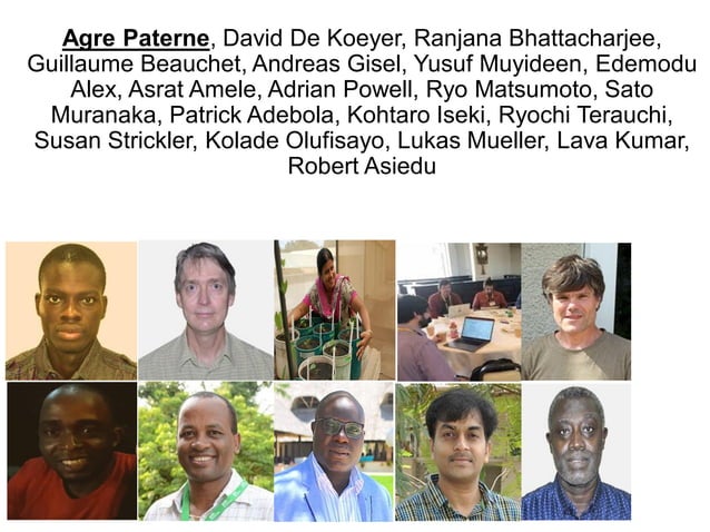 Striving for excellence in yam breeding using genomics tools | PPT