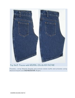 Washing Denim with Stone-free Process Enzybooster | PDF