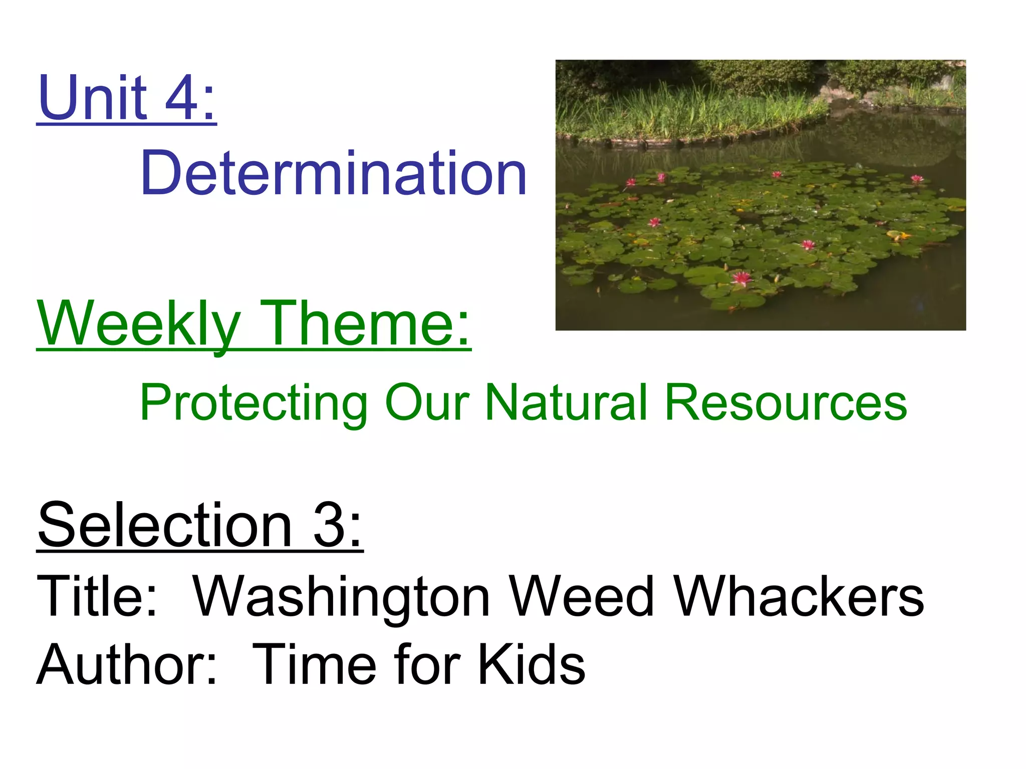 Washington Weed Whackers Focus Wall | PPT