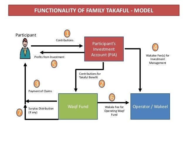 Introduction to Takaful For beginners