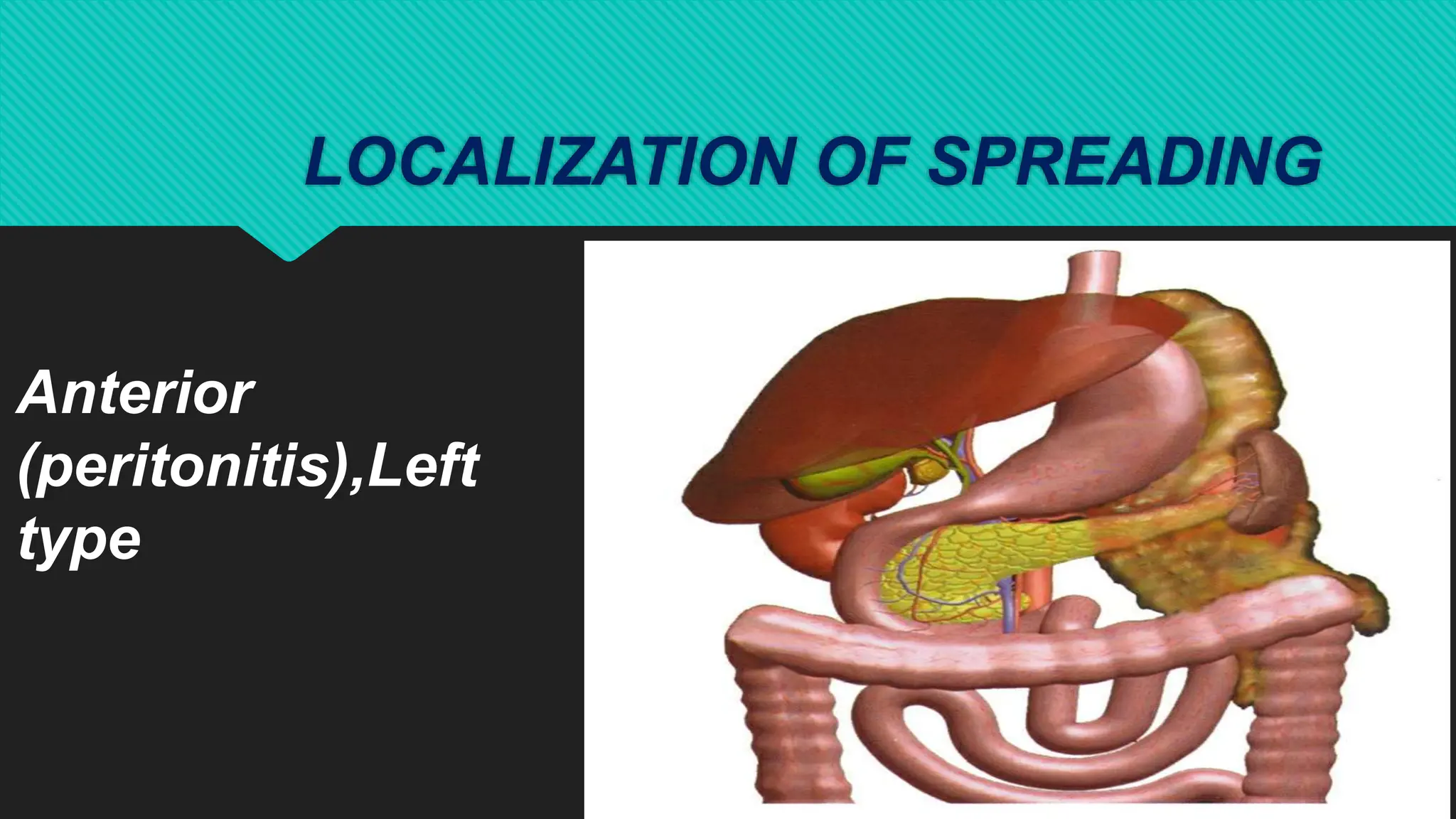 Wasim,Shreeja Symptomatology of acute surgery disease of the abdominal ...