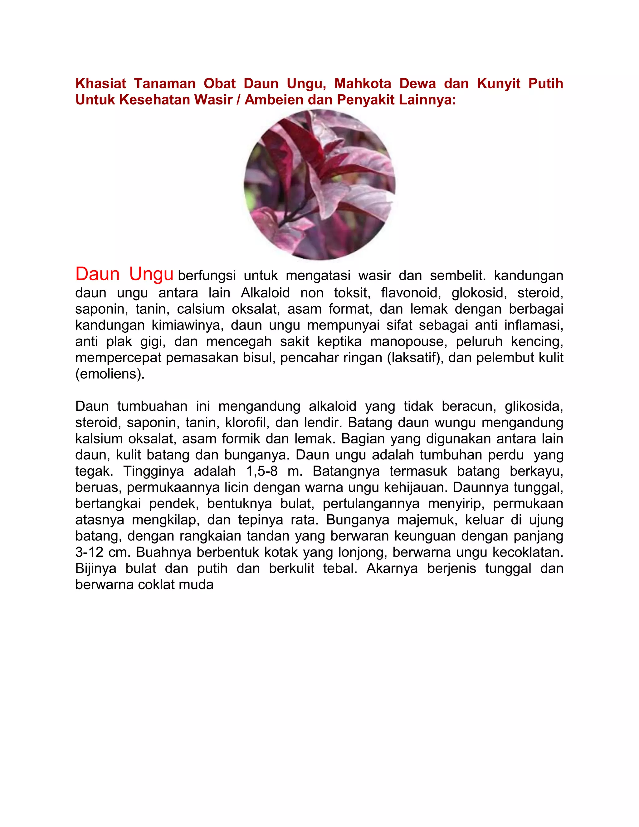 Wasir (hemoroid) benjolan di area dubur | PDF
