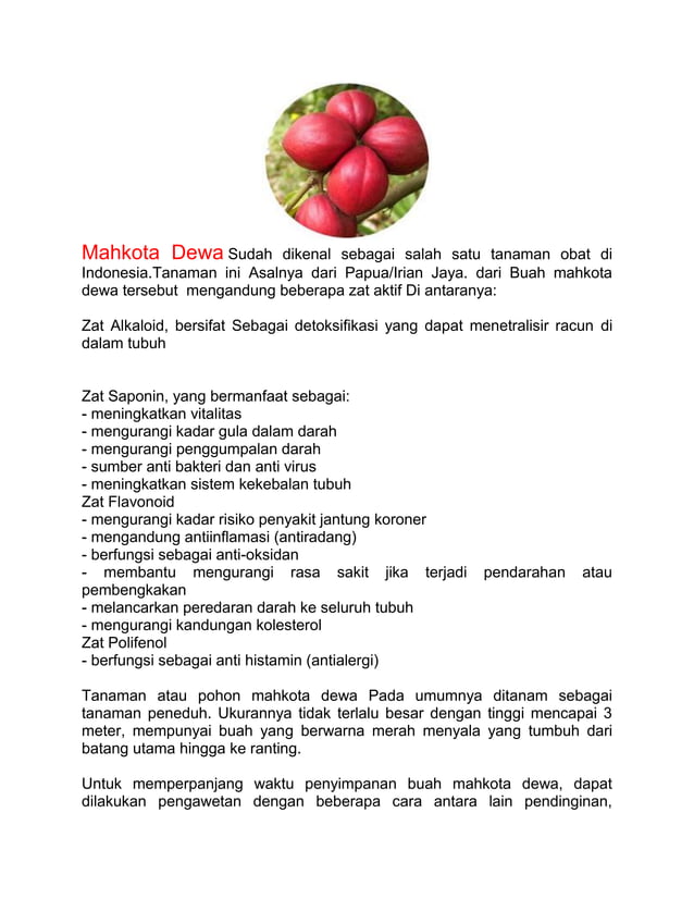 Wasir (hemoroid) benjolan di area dubur | PDF