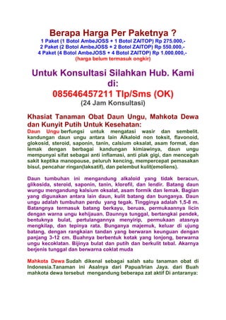 Wasir stadium 3 bisa sembuh sendiri gak | PDF