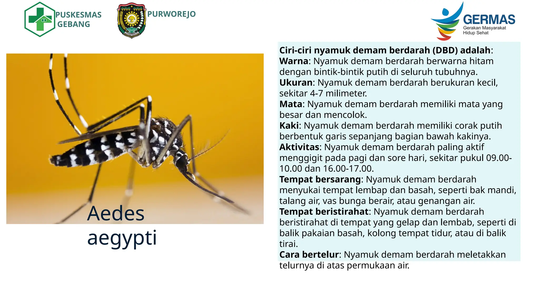 WASPADA BAHAYA DEMAM BERDARAH DENGUE (DBD) DES 2024 GRAFIK.pptx