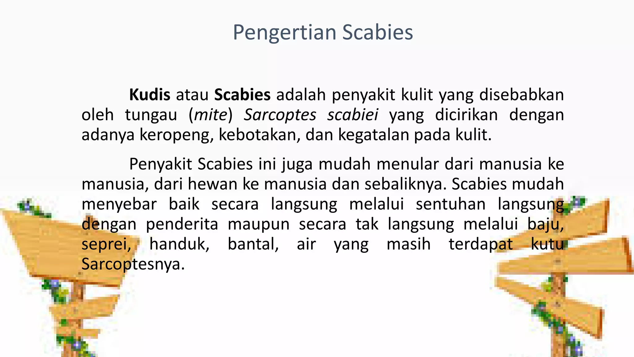 Waspada Skabies di Kalangan santri | PDF