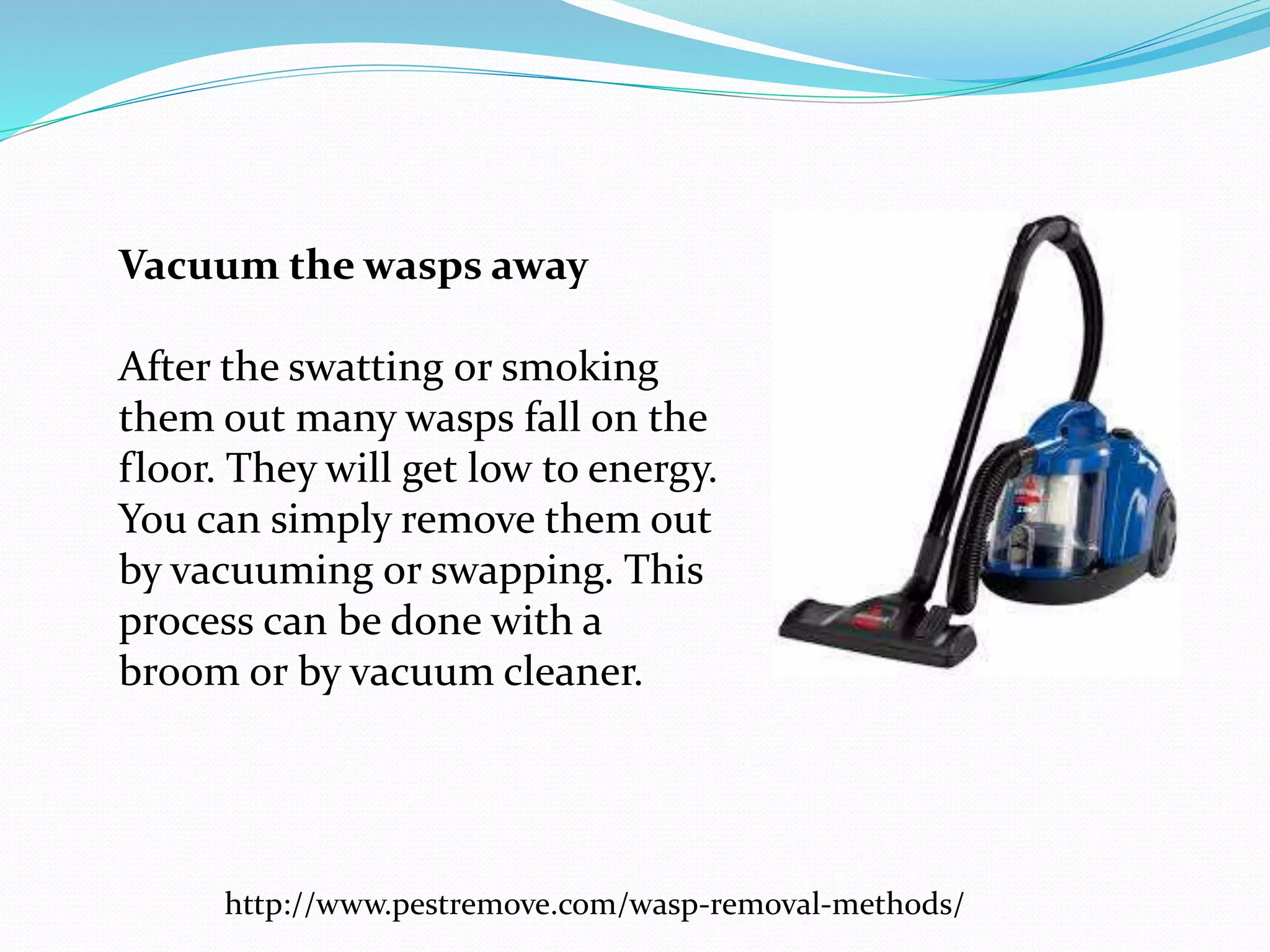 Wasp removal methods | PPTX