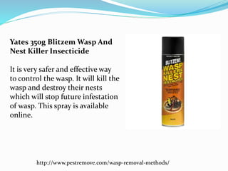 Wasp removal methods | PPTX | Beekeeping | Hobbies & Interests