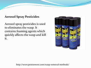 Wasp removal methods | PPTX