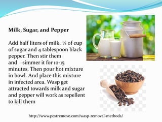 Wasp removal methods | PPTX | Beekeeping | Hobbies & Interests