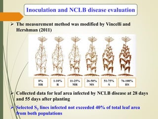 The development of two sweet corn populations resistance to northern ...