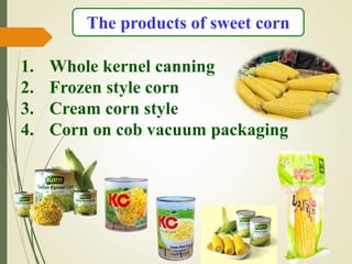 The development of two sweet corn populations resistance to northern ...