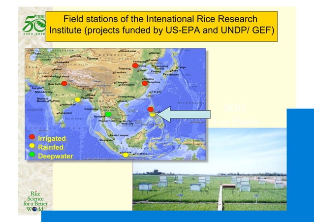 Wassmann - Modifying water management for rice production | PPT