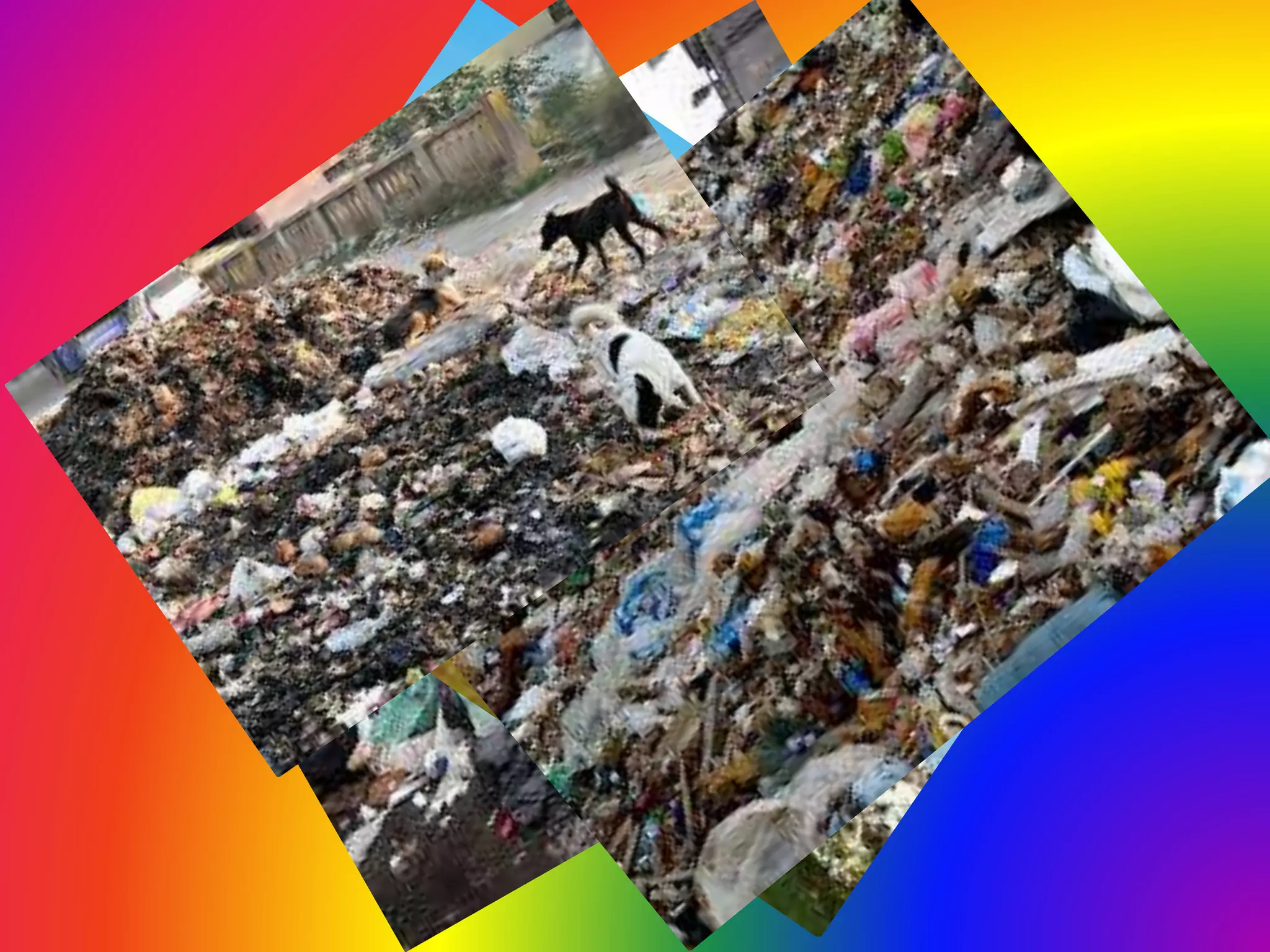 Ten Commandments Of Garbology | PPTX