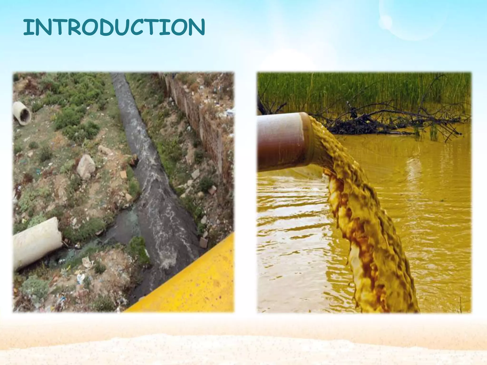 reed bed-root zone technology (wastewater treatment by using root zone ...