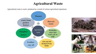Solid Waste management in agricultural field | PPTX