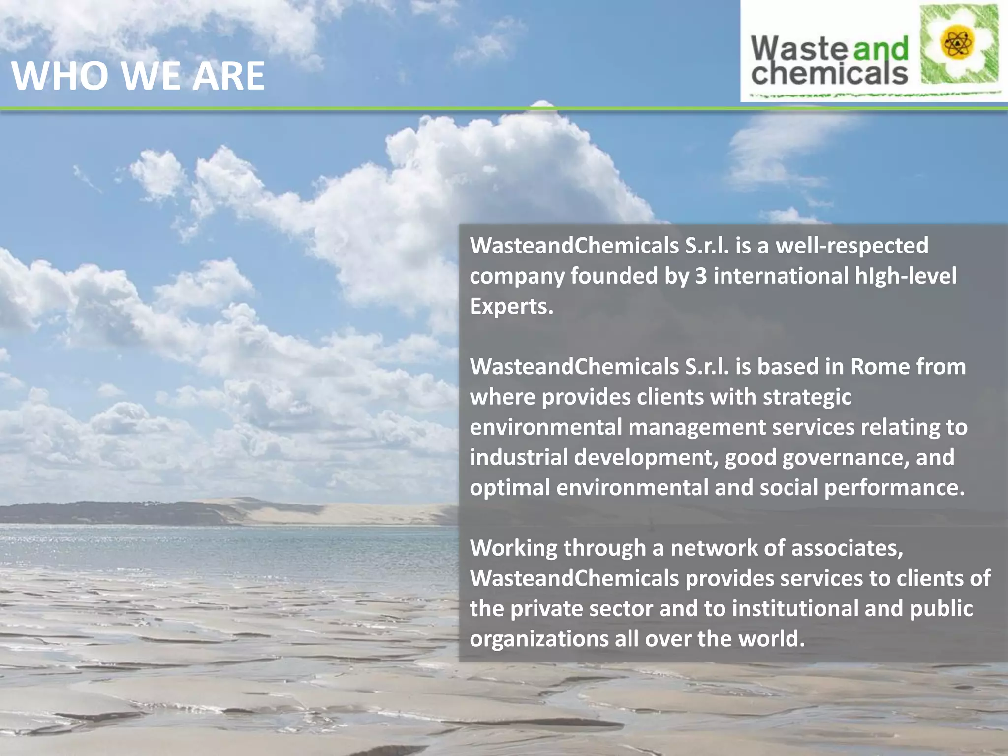 Waste and chemicals company profile | PDF