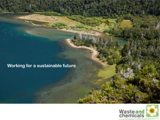 Waste and chemicals company profile | PDF