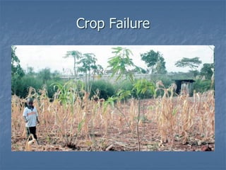 Waste and climate change | PDF