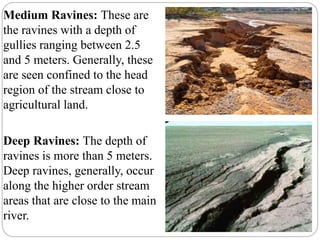 Wasteland classification | PPTX