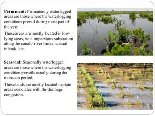 Wasteland classification | PPTX