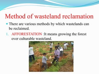 Waste land management | PPTX