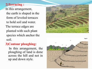 Waste land management | PPTX
