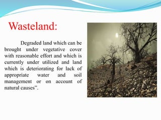 Waste land management | PPTX