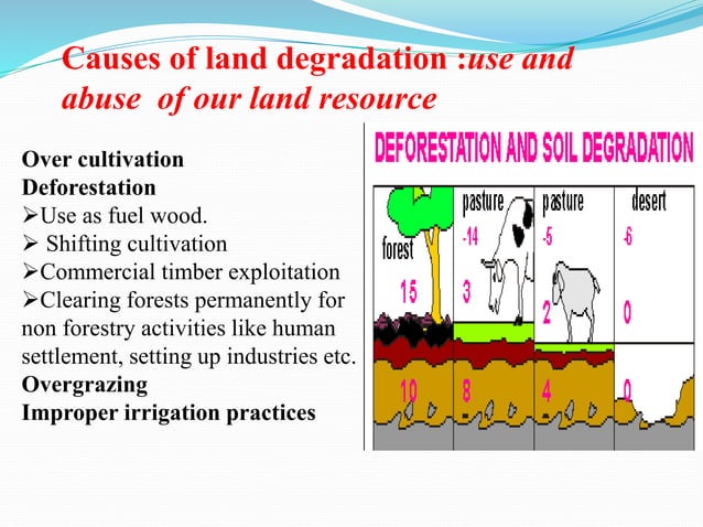 Waste land management | PPTX