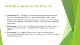 Wasteland Reclamation_Final.pptx
