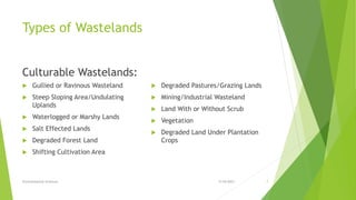 Wasteland Reclamation_Final.pptx