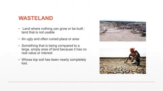 Wastelands | PPTX