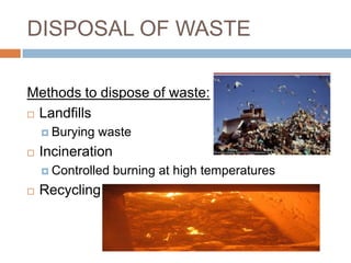 Waste Management | PPTX | Environmental Services Industry | Industries