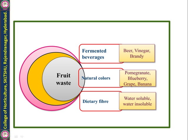 Waste management of fruits | PPTX