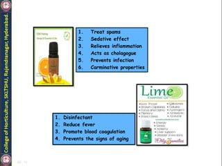 Waste management of fruits | PPTX