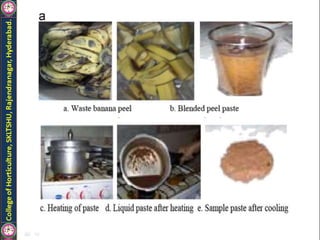 Waste management of fruits | PPTX