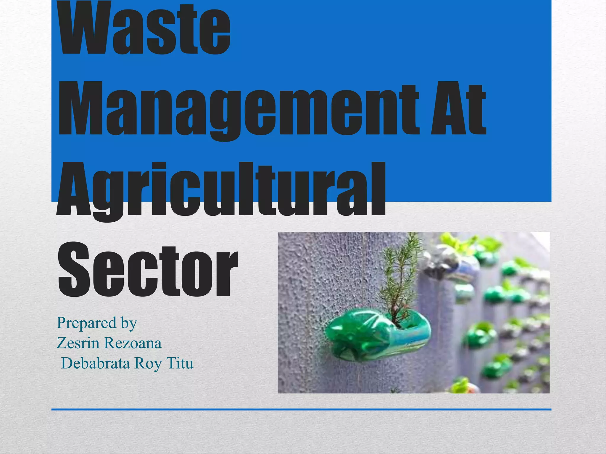 Waste management at agricultural sector | PPT