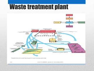 Waste management at agricultural sector | PPTX