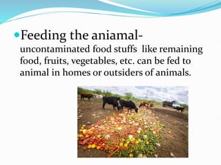 waste management community health nursingII | PPTX