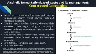 Waste management from fermentation industries | PPTX
