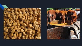Waste management from fermentation industries | PPTX