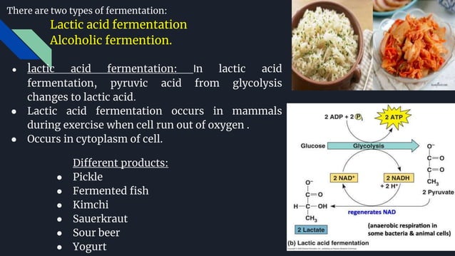 Waste management from fermentation industries | PPTX