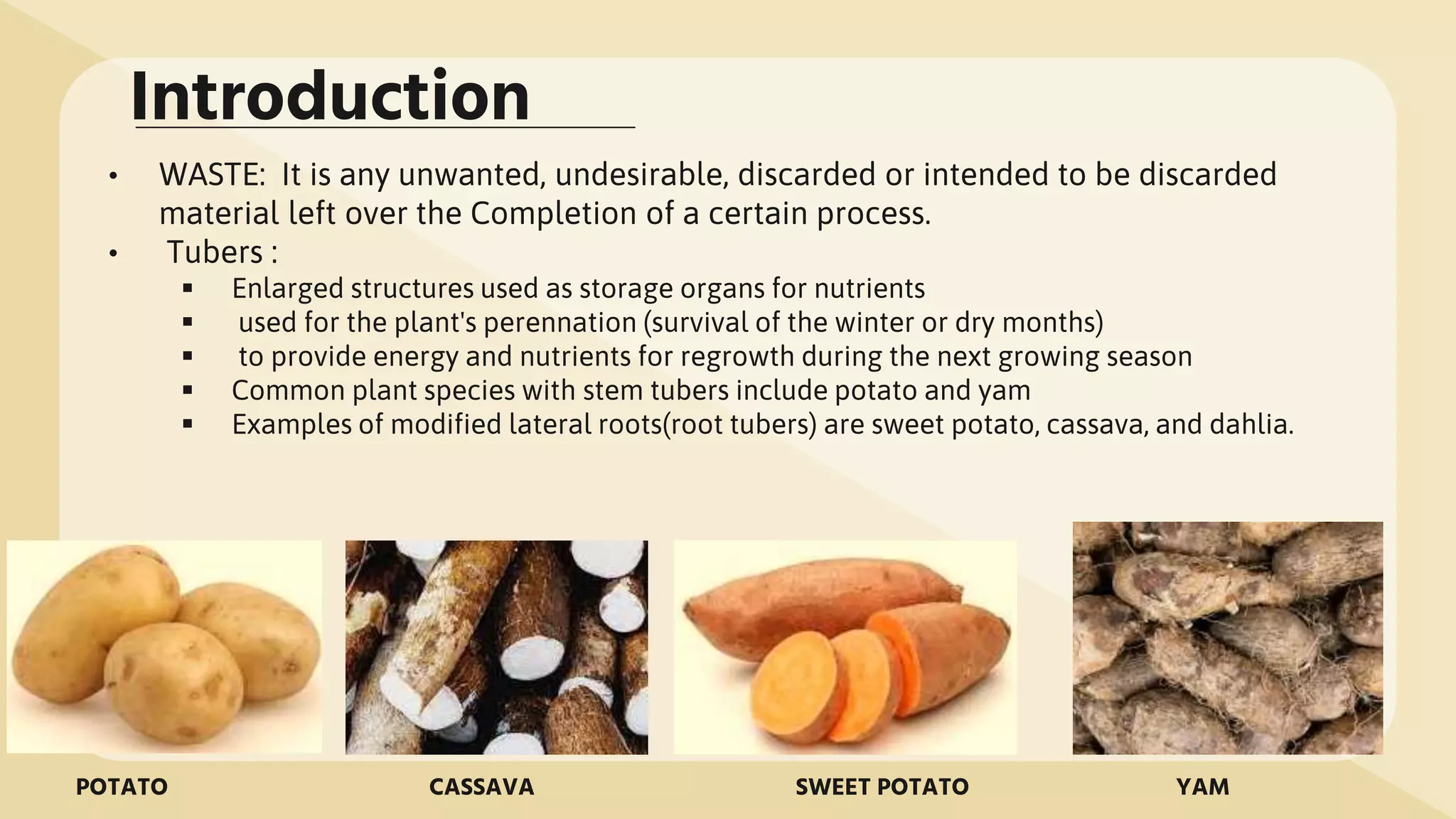 waste management of tuber crops.pptx