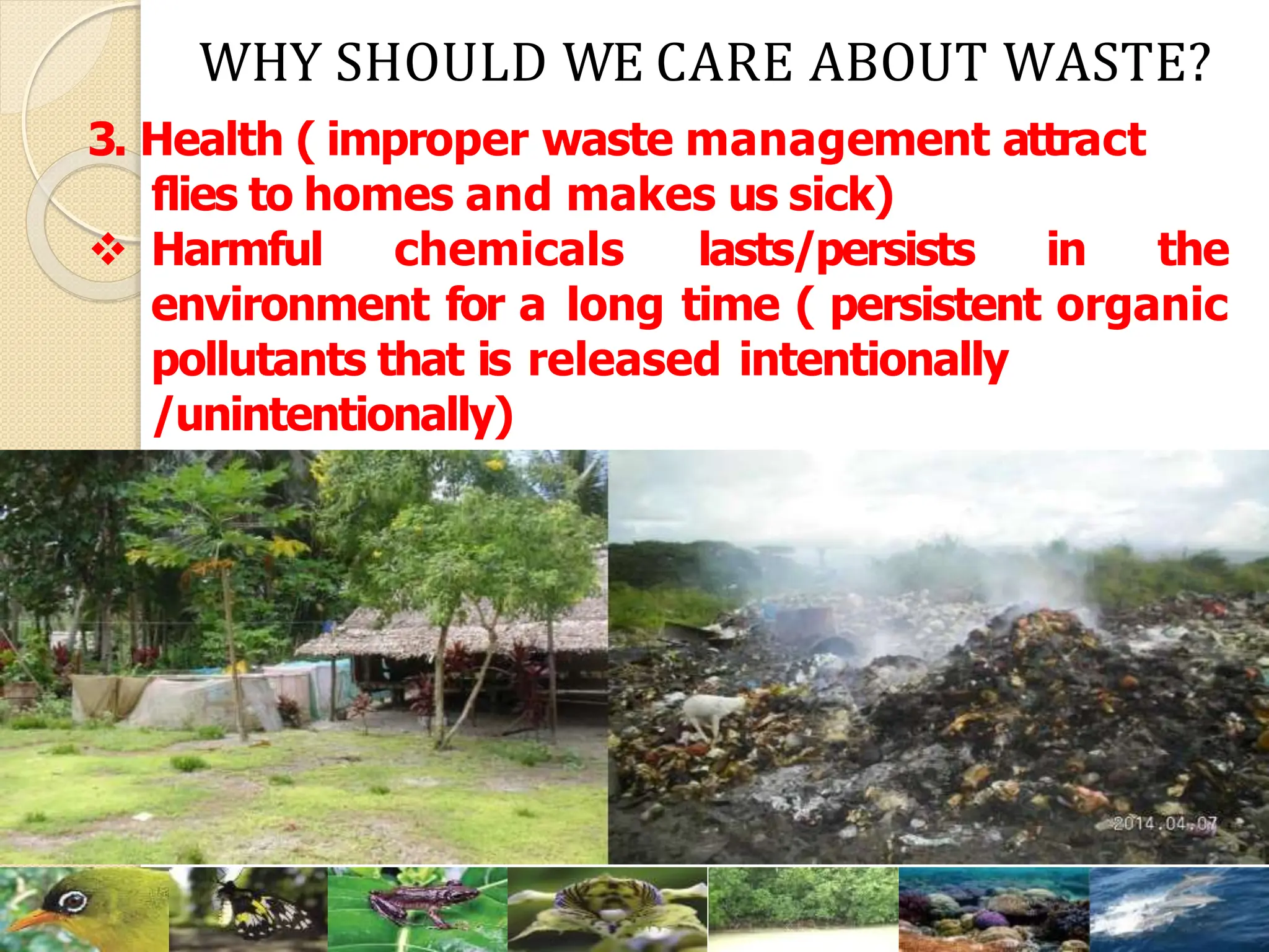 Waste Management & Pollution PPT V1.pptx