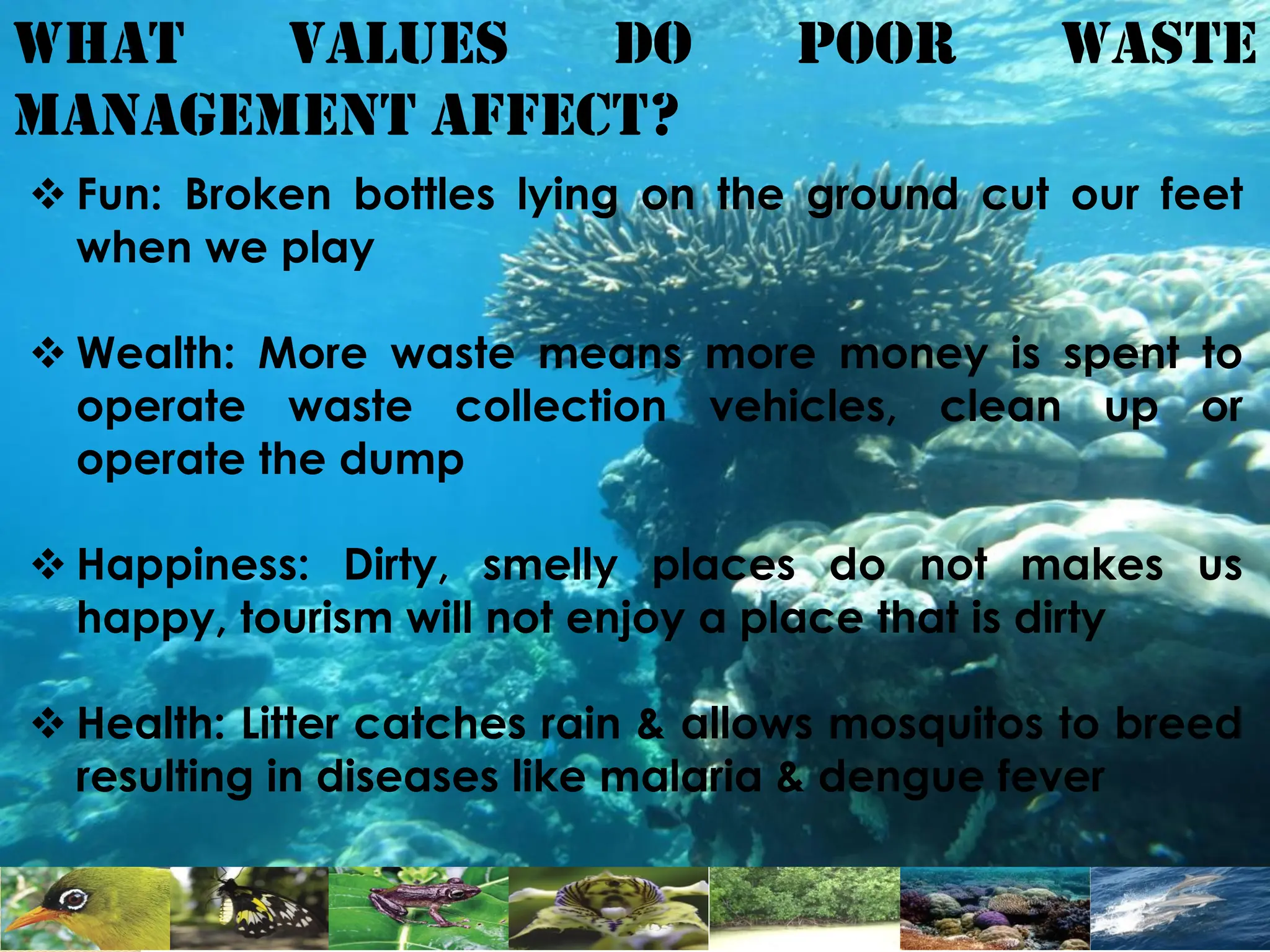 Waste Management & Pollution PPT V11.pdf