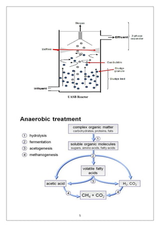 Up flow anaerobic Sludge Blanket (UASB) | PDF