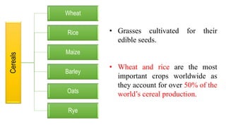 Waste Management of Cereal Crops | PPTX