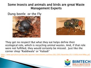 Waste Recycling and Circular Economy by Prof. K. R. Chari | PPT