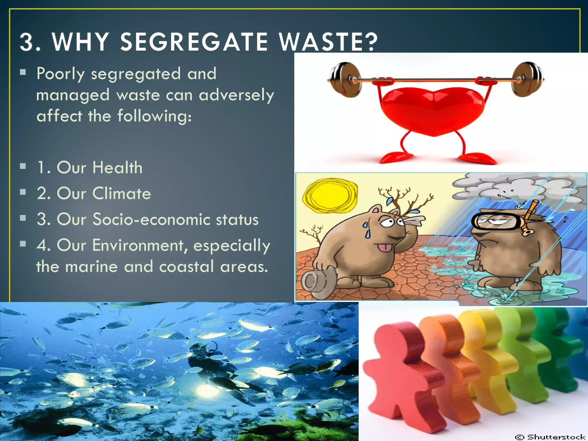 Waste segregation | PDF